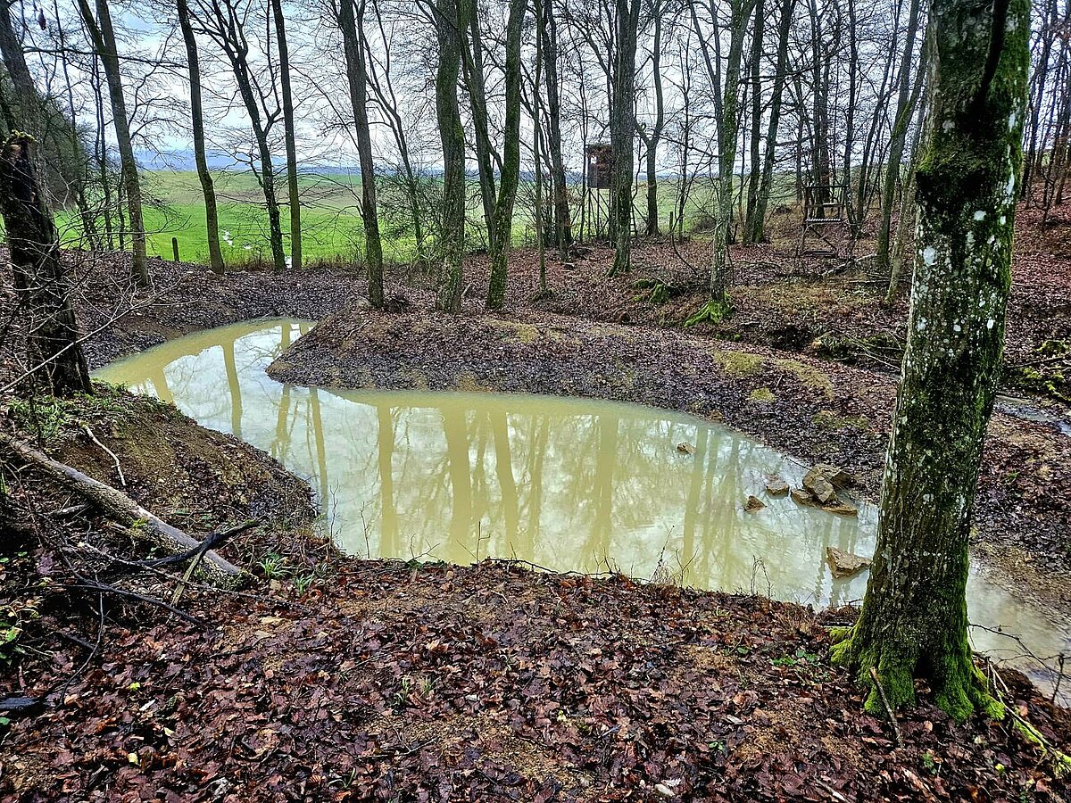 Die Retentionsbecken im Uniwald sind nach Niederschlägen gefüllt - EFRE-MainPro