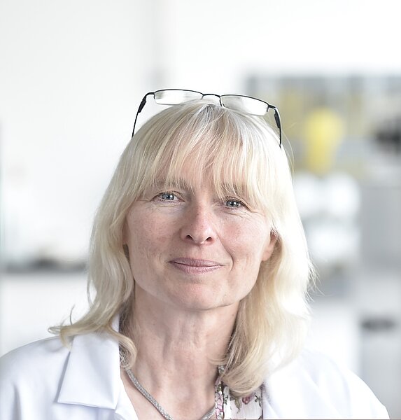 Über uns - EFRE-MainPro